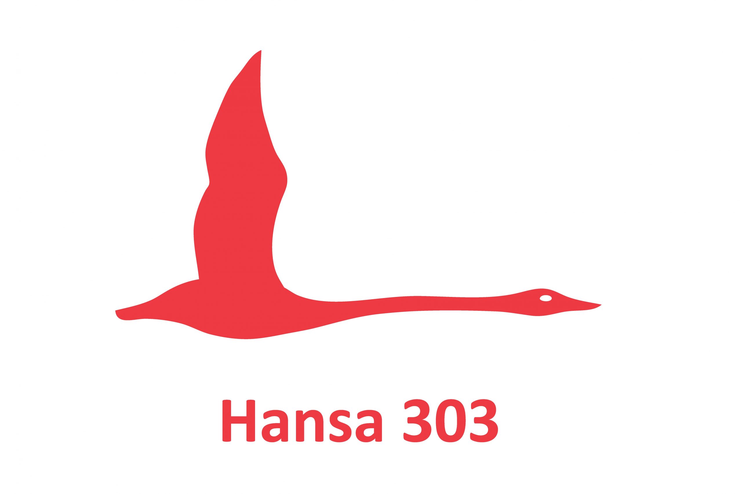 4841 - Class flag - 303 one person - hansasailing